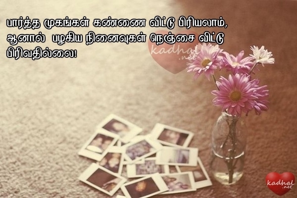 Kadhal kavithai in tamil sms - lockqgirls